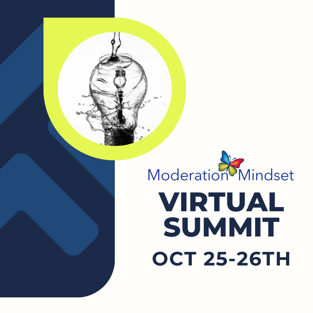 Moderation Mindset Virtual Summit 2025 - Moderation Management™